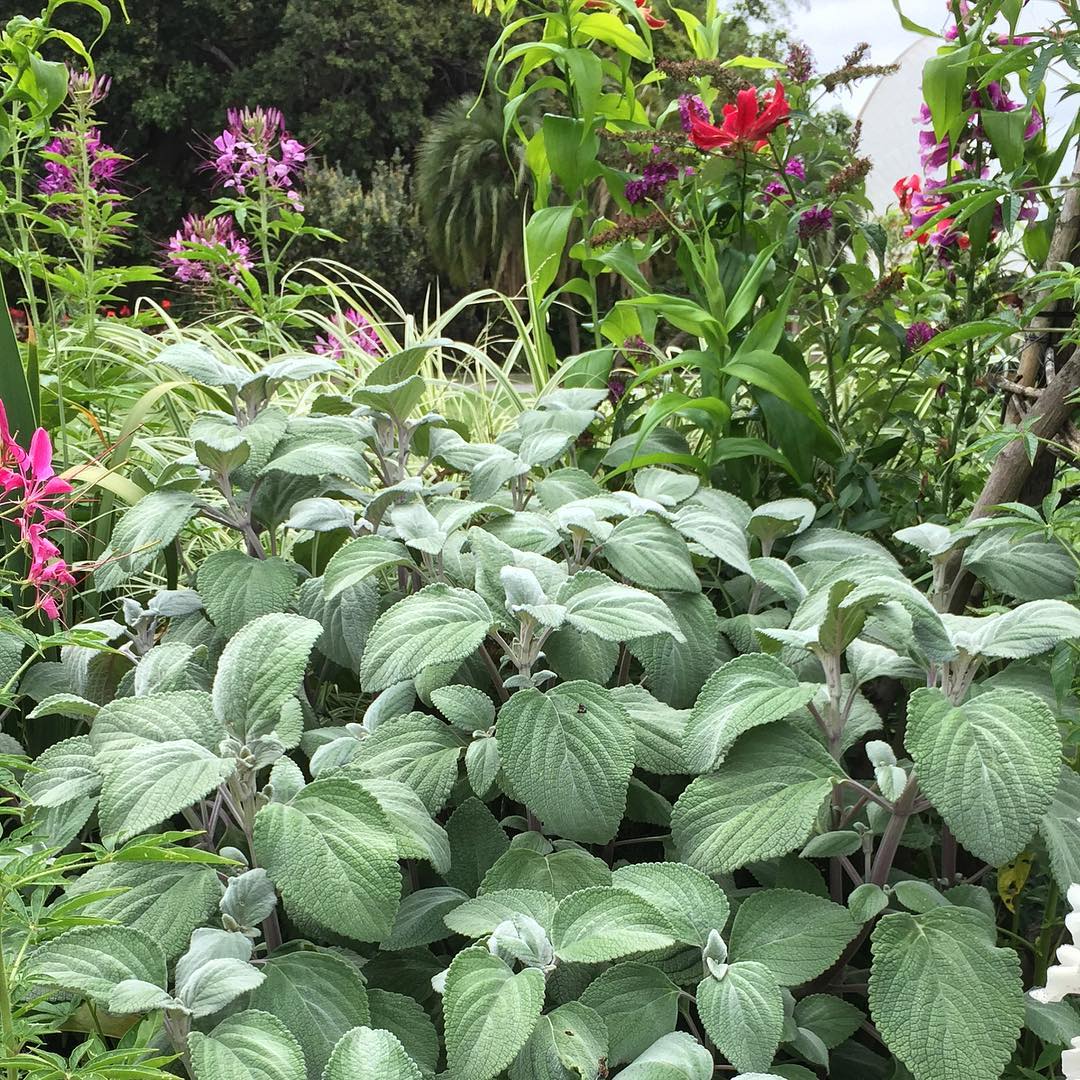 Live Flora & Landscaping Photos from Instagram