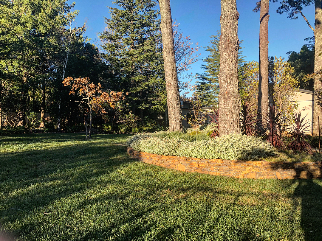 Live Flora & Landscaping Photos from Instagram